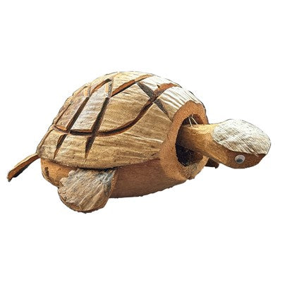 Coconut Nodding Turtle – Camping HQ UK