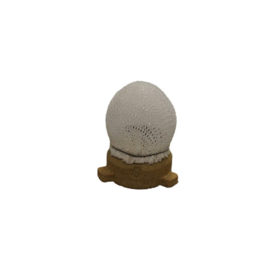 Truma Screw Mantle Ng – Camping HQ UK